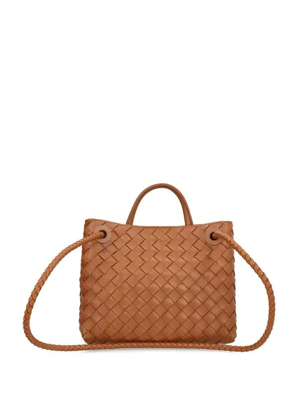 Bottega Veneta Small Andiamo Bag