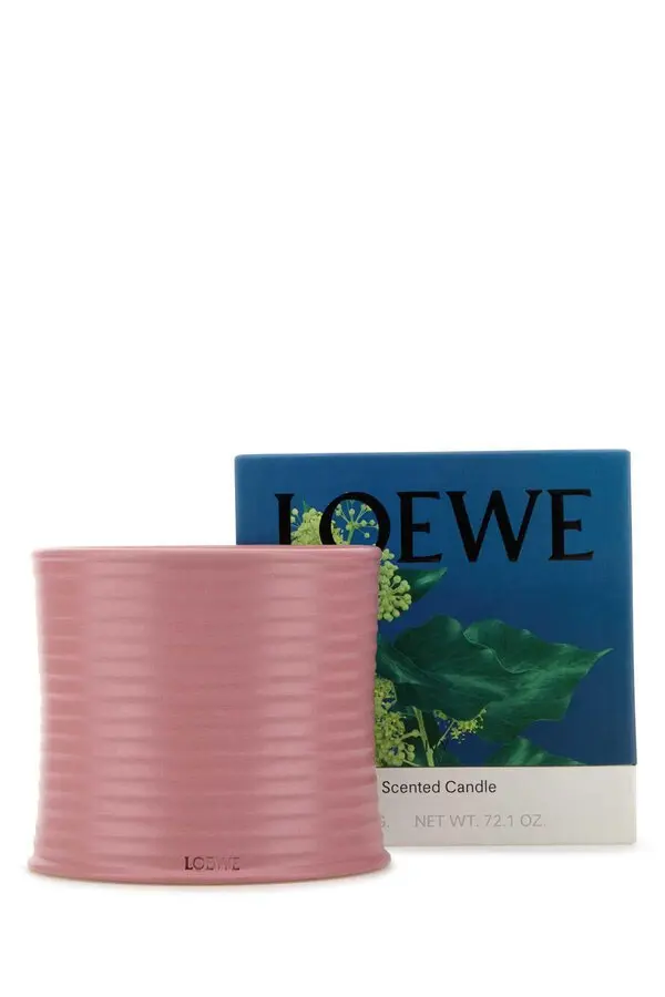 Loewe Large Ivy Scented Candle - Pink