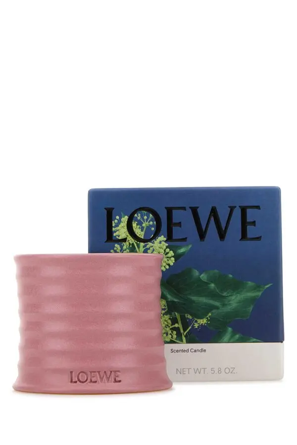 Loewe Small Ivy Scented Candle - Pink