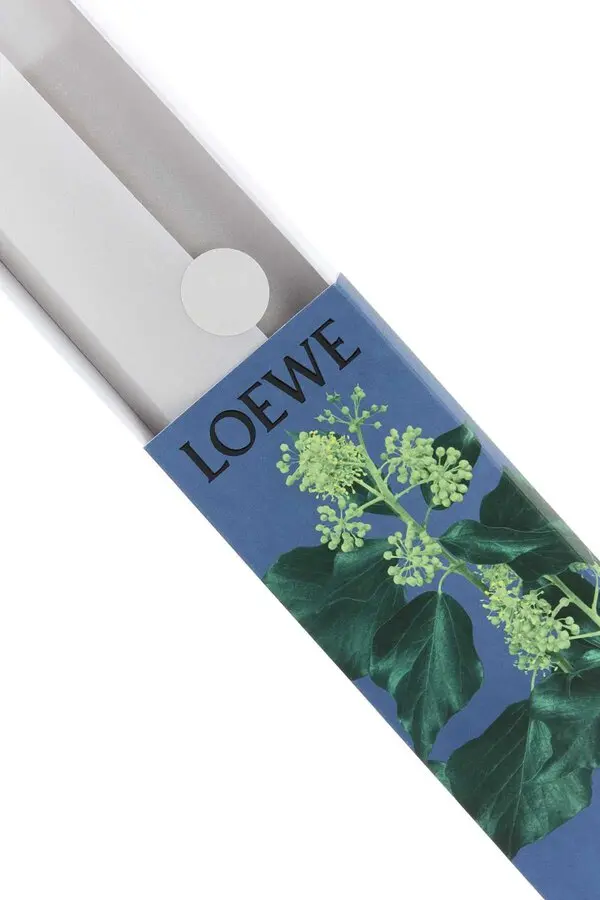 Loewe Ivy Incense Sticks