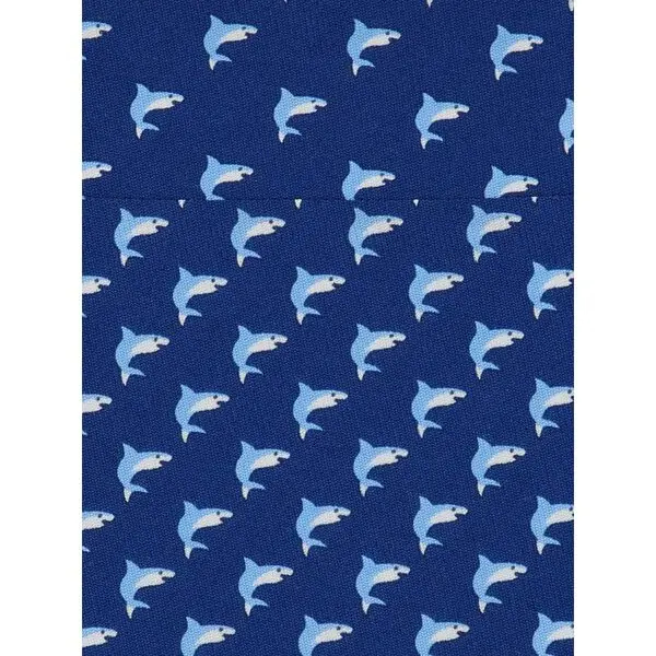 FERRAGAMO Printed Silk Neck Ties - Blue