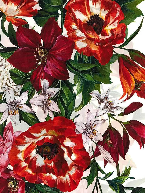 Dolce & Gabbana Floral Print Scarf - Multicolor
