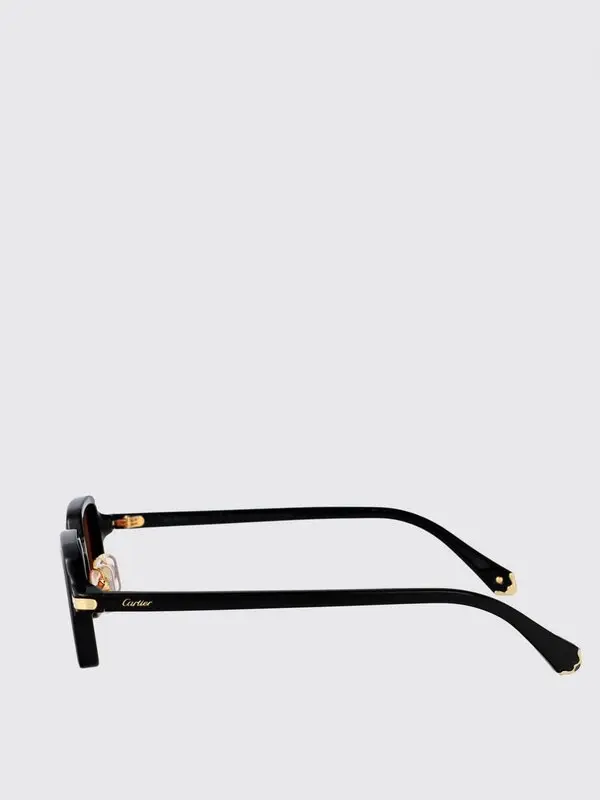 Cartier Recycled Acetate Sunglasses