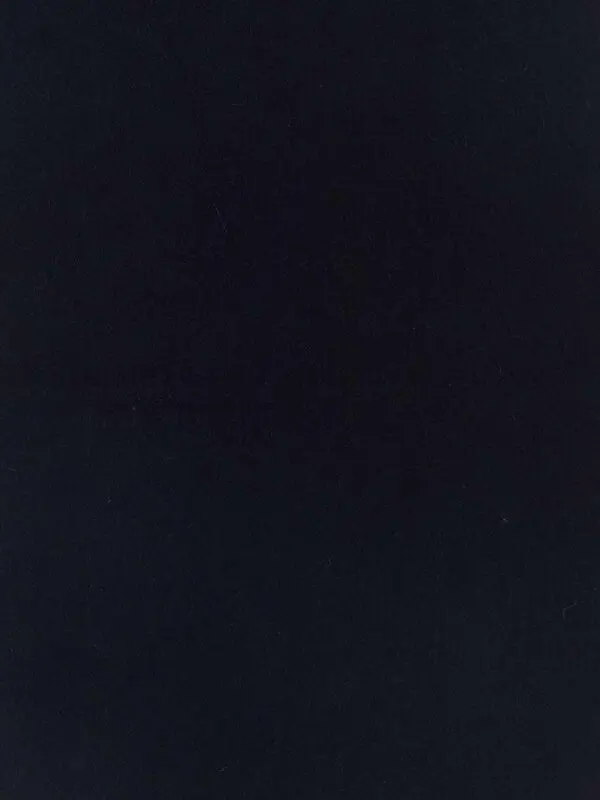 Max Mara Dalia Cashmere Scarf
