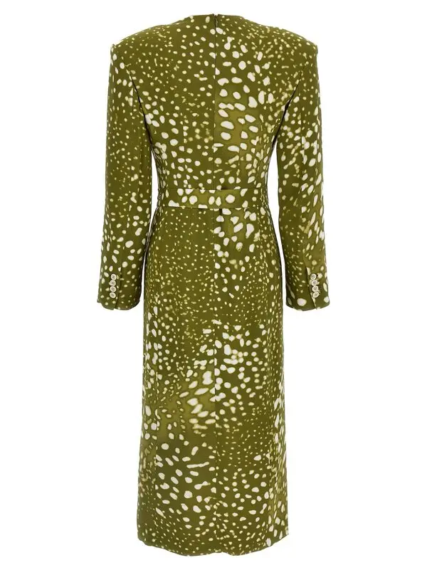 Dries Van Noten Dohana' Dress