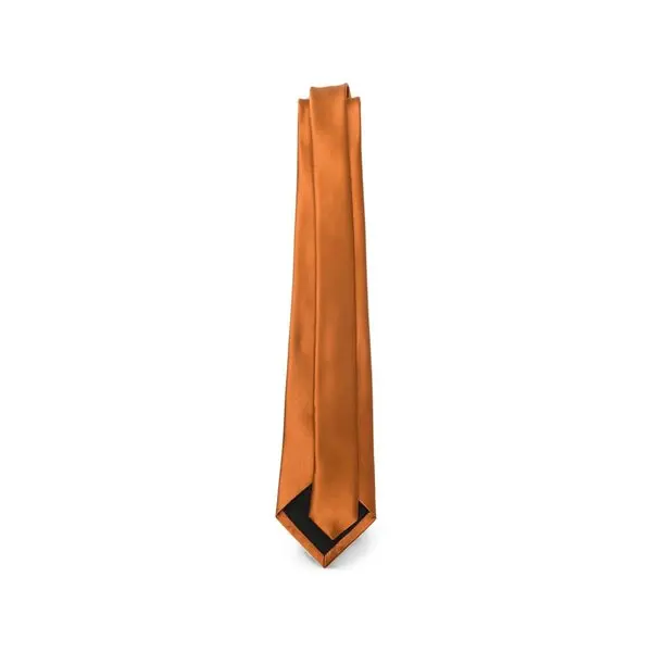Saint Laurent Ties & Bow Ties - Orange