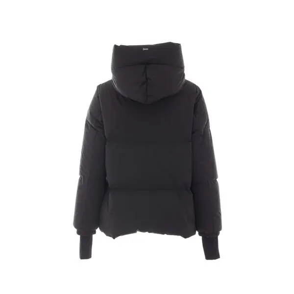 Herno 2 Layer Windstopper Down Jacket