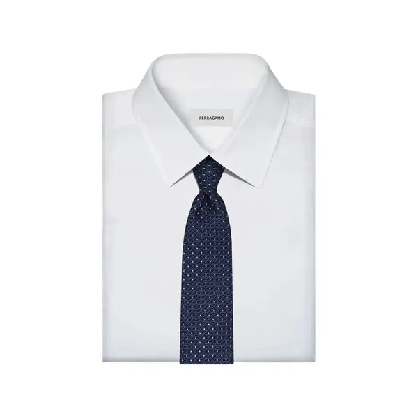FERRAGAMO Ties & Bow Ties