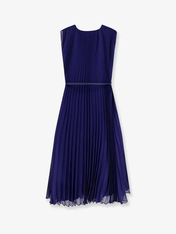 Max Mara Mxecapsula Long Dress With Belt