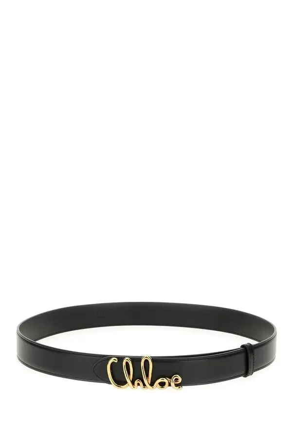 Chloé Leather Belt With Gold Tone Logo Hardware - Multicolor