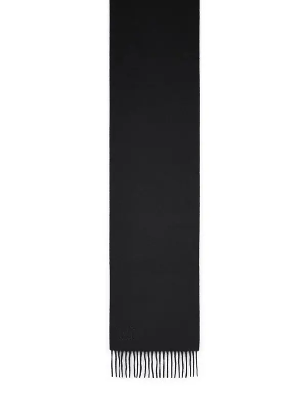Max Mara Wsdalia' Cashmere Stole