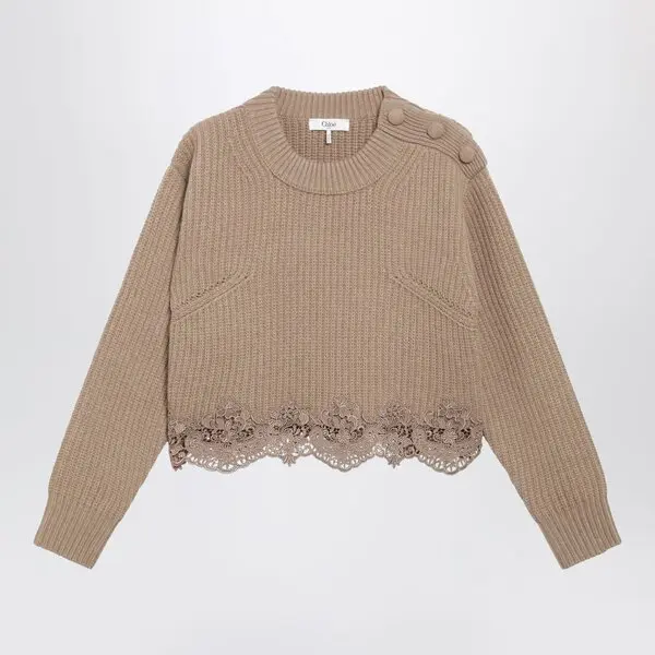 Chloé Wool-cashmere Cropped Turtleneck Sweater - Brown