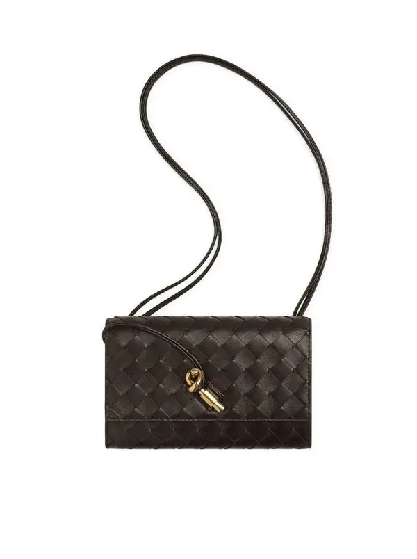 Bottega Veneta Pouch Andiamo - Multicolor