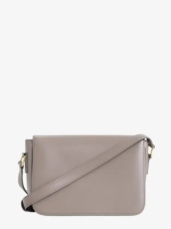 Celine Teen Triomphe Leather Crossbody Bag - Multicolor