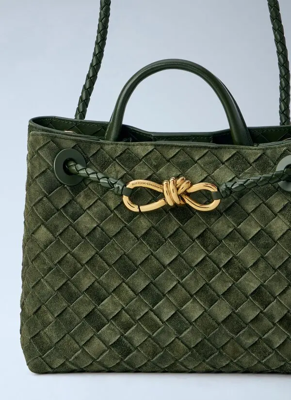 Bottega Veneta Small Andiamo Handbag