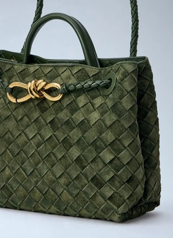Bottega Veneta Small Andiamo Handbag