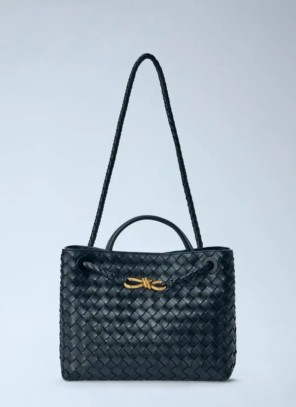 Bottega Veneta Medium Andiamo Handbag