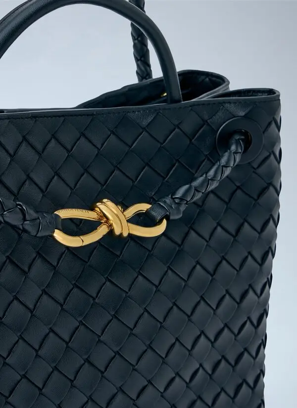 Bottega Veneta Medium Andiamo Handbag
