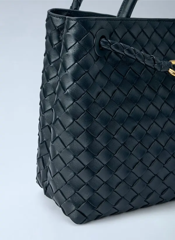 Bottega Veneta Medium Andiamo Handbag
