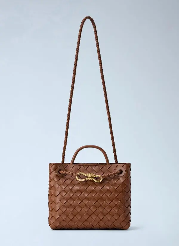 Bottega Veneta Small Andiamo Handbag - Brown