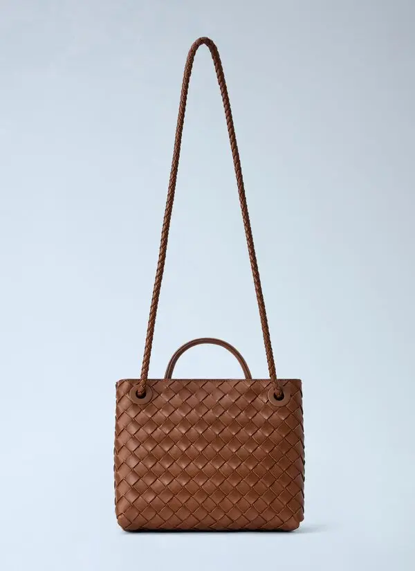 Bottega Veneta Small Andiamo Handbag - Brown