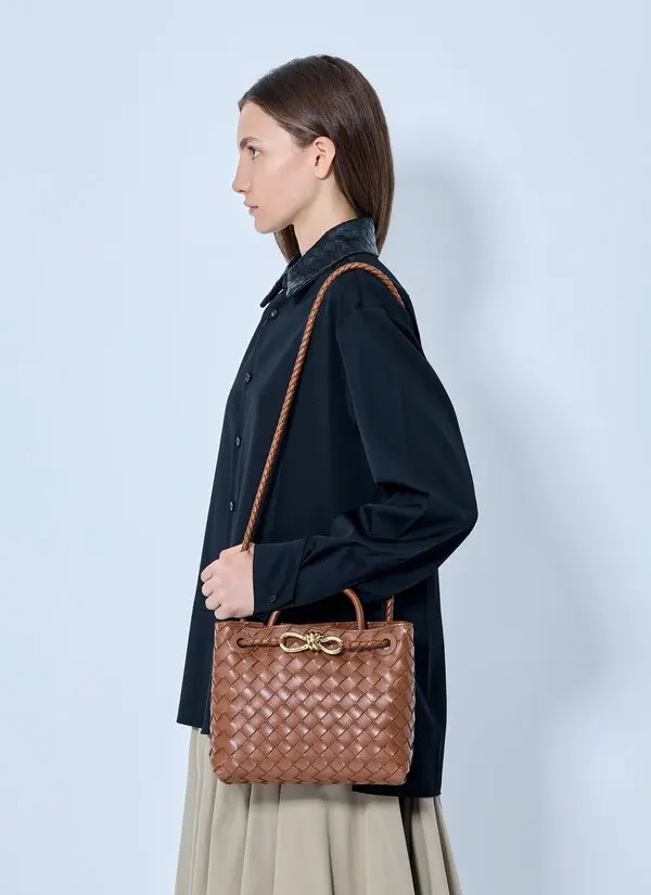 Bottega Veneta Small Andiamo Handbag - Brown
