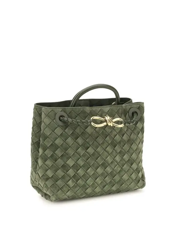 Bottega Veneta Andiamo Small Handbag