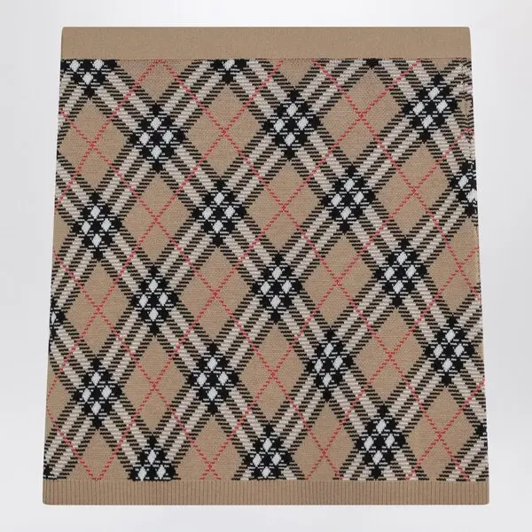 Burberry Wool And Mohair Blend Mini Skirt