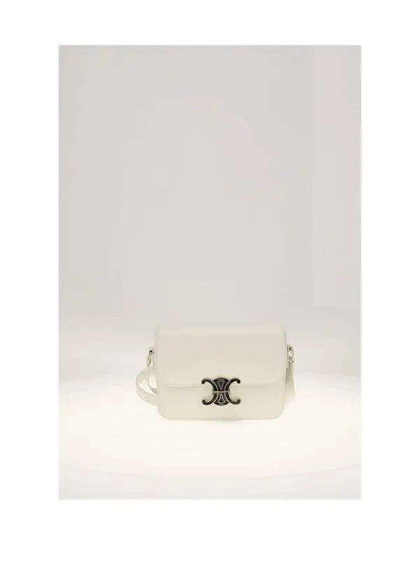 Celine Teen Triomphe Bag - Multicolor