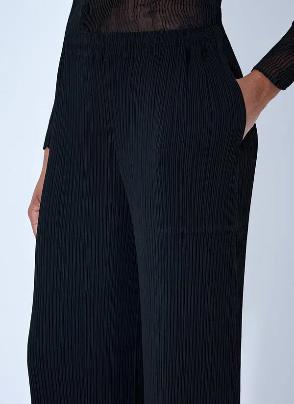 Issey Miyake Hatching Pleats Pants