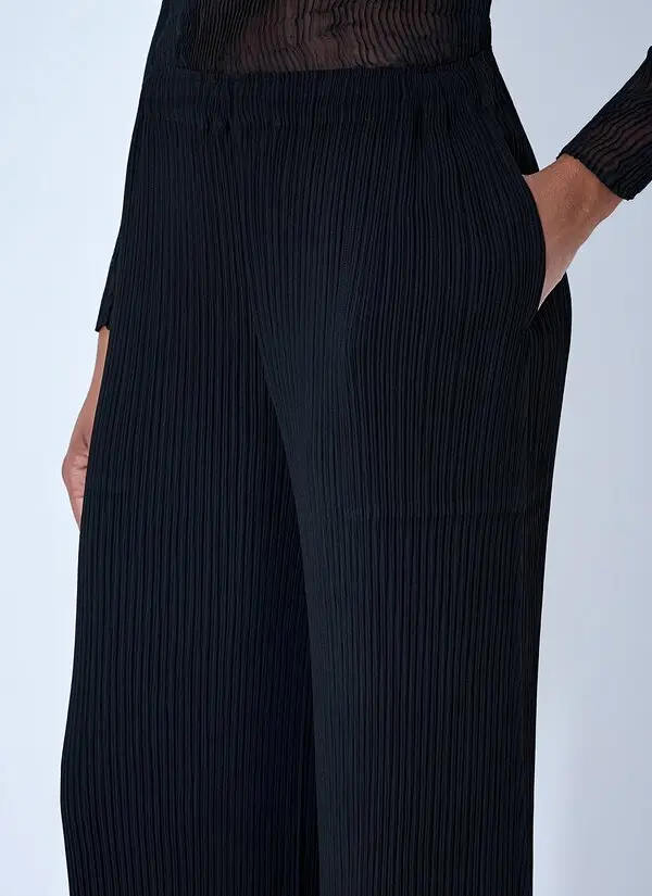 Issey Miyake Hatching Pleats Pants