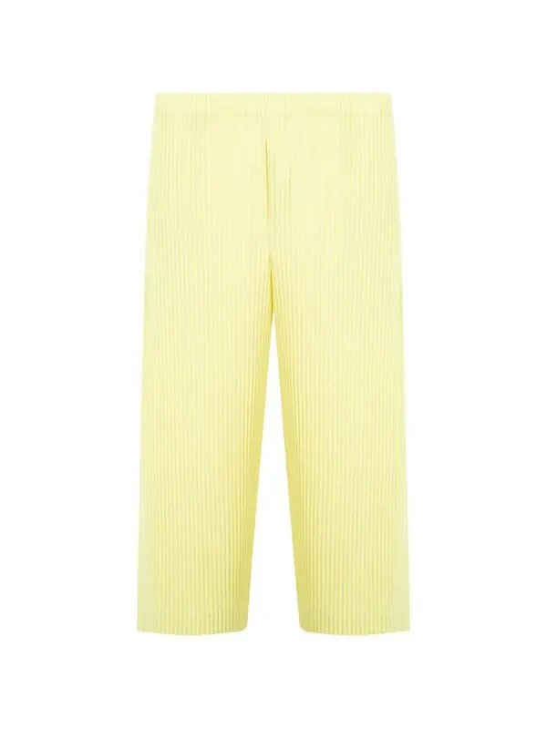 Issey Miyake Pleated Trousers - Multicolor