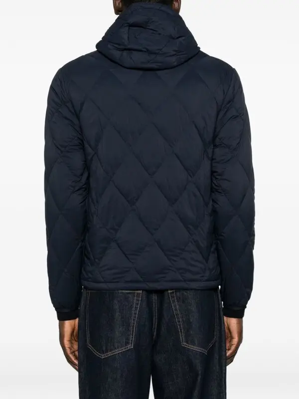 Burberry Hescott Nylon Blouson Jacket - Multicolor