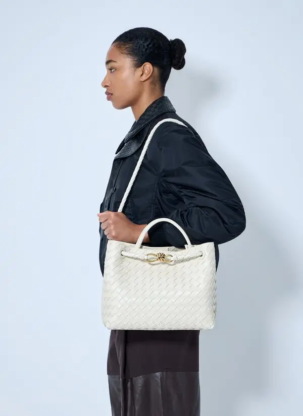 Bottega Veneta Medium Andiamo Handbag