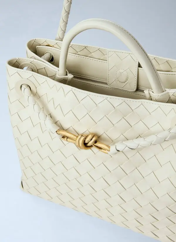 Bottega Veneta Medium Andiamo Handbag