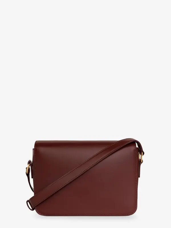 Celine Teen Triomphe Leather Crossbody Bag - Brown