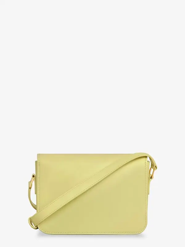 Celine Teen Triomphe Leather Crossbody Bag - Multicolor