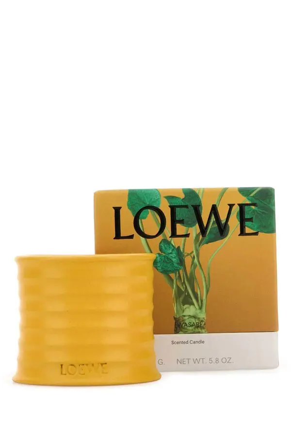 Loewe Small Wasabi Scented Candle