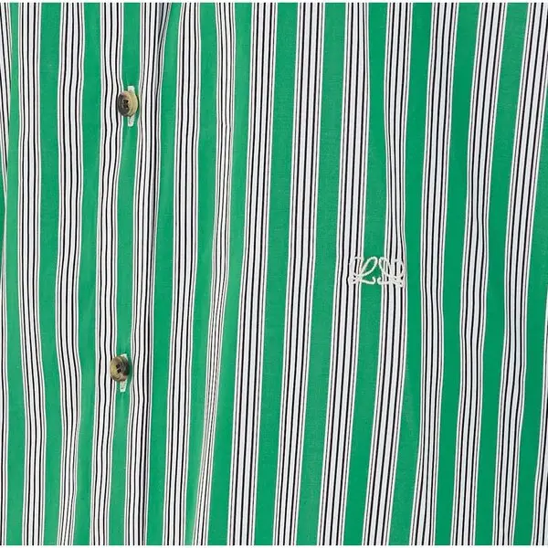 Loewe Striped Long-sleeve Shirt - Green