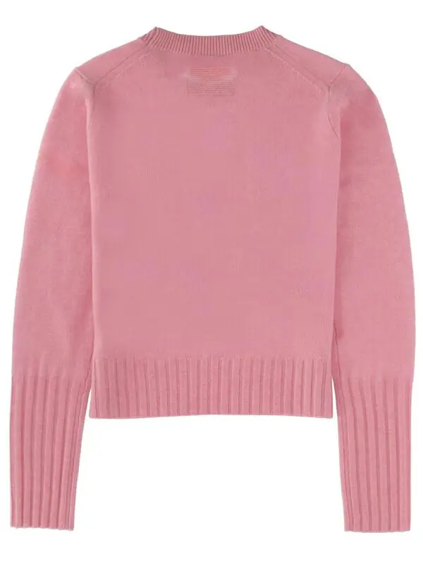 Guest In Residence Shrunken Crew Jersey