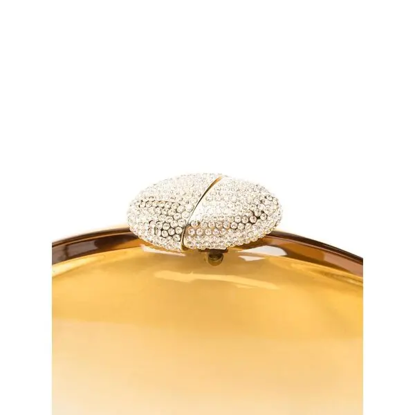 Benedetta Bruzziches Acrylic Clutch