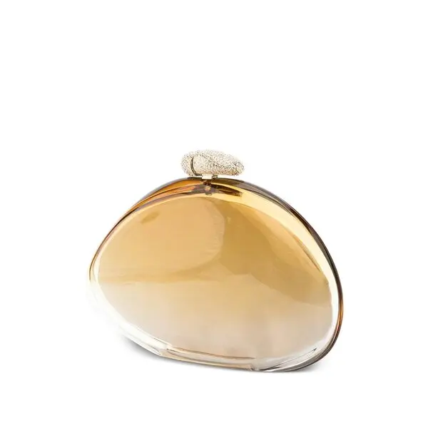 Benedetta Bruzziches Acrylic Clutch