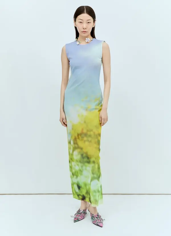 Acne Studios Blurred Print Maxi Dress - Multicolor