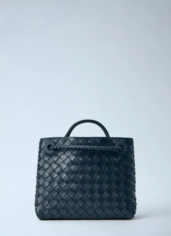 Bottega Veneta Medium Andiamo Handbag