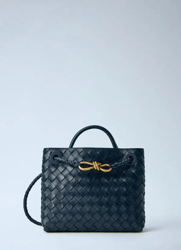 Bottega Veneta Medium Andiamo Handbag - Blue
