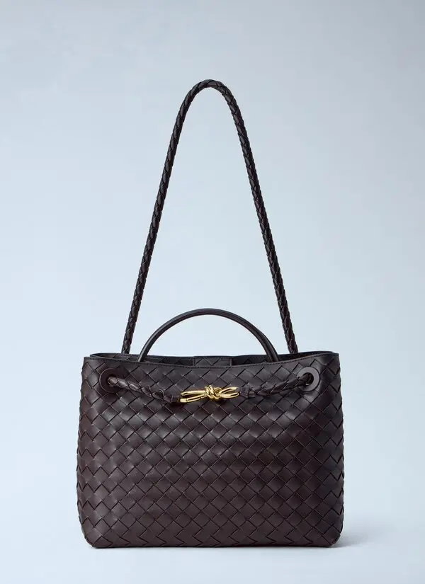 Bottega Veneta Medium Andiamo Handbag