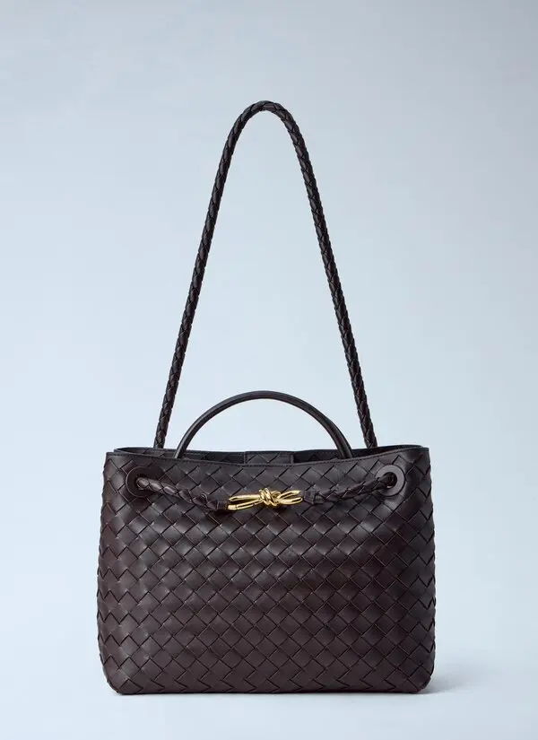 Bottega Veneta Medium Andiamo Handbag - Brown