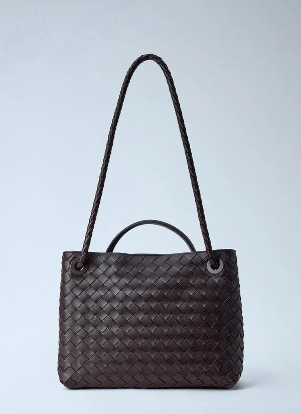 Bottega Veneta Medium Andiamo Handbag - Brown