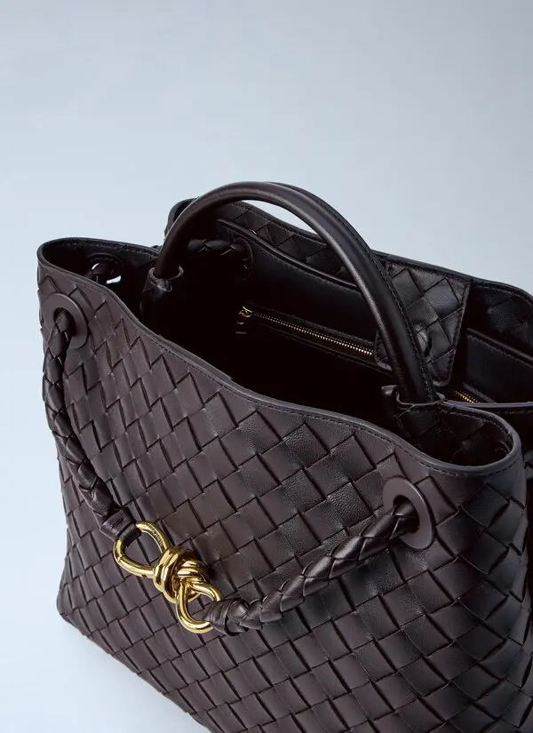 Bottega Veneta Medium Andiamo Handbag - Brown