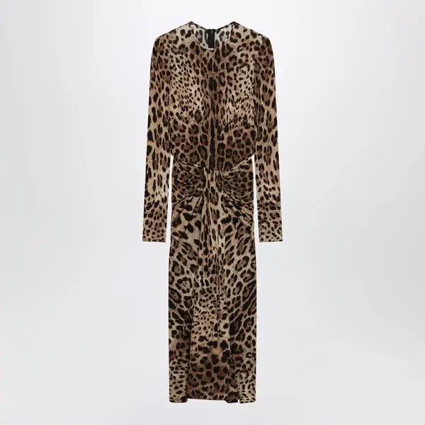 Dolce & Gabbana Leopard-print Viscose Jersey Dress - Brown